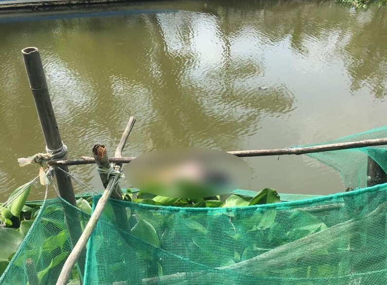 Kiên Giang: Phát hiện 1 xác chết ở bãi rác Thành phố Hà Tiên